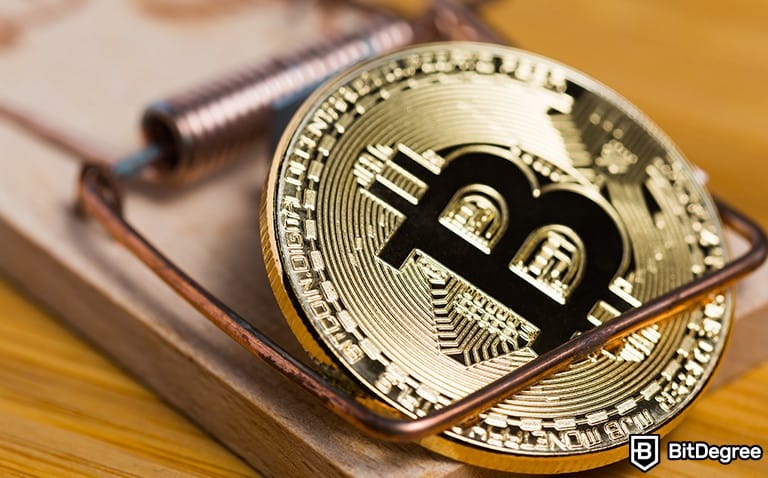 Titanium Blockchain's Stollery Pleads Guilty in Fraud Case