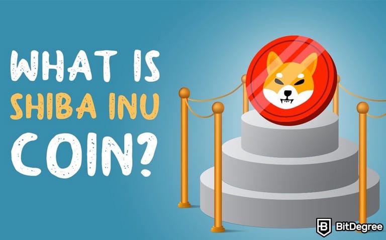 What is the Shiba Inu Coin: What is Special About it?