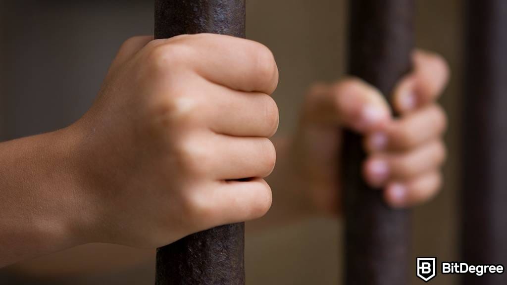 Hacker Behind Silk Road Exploit Receives Prison Sentence