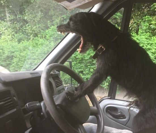 Crypto invoice delayed after backlash - Chain Rumors