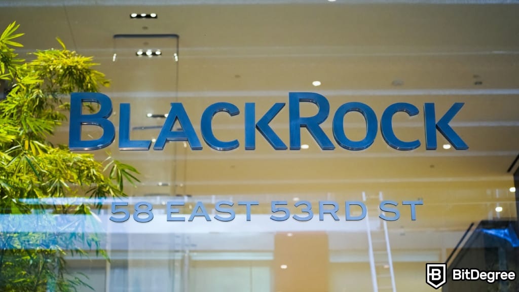 BlackRock Confirms No Commercial Ties with Hedera