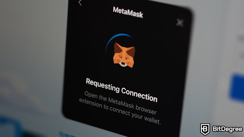 MetaMask Users Fall Prey to Government Website Exploitation