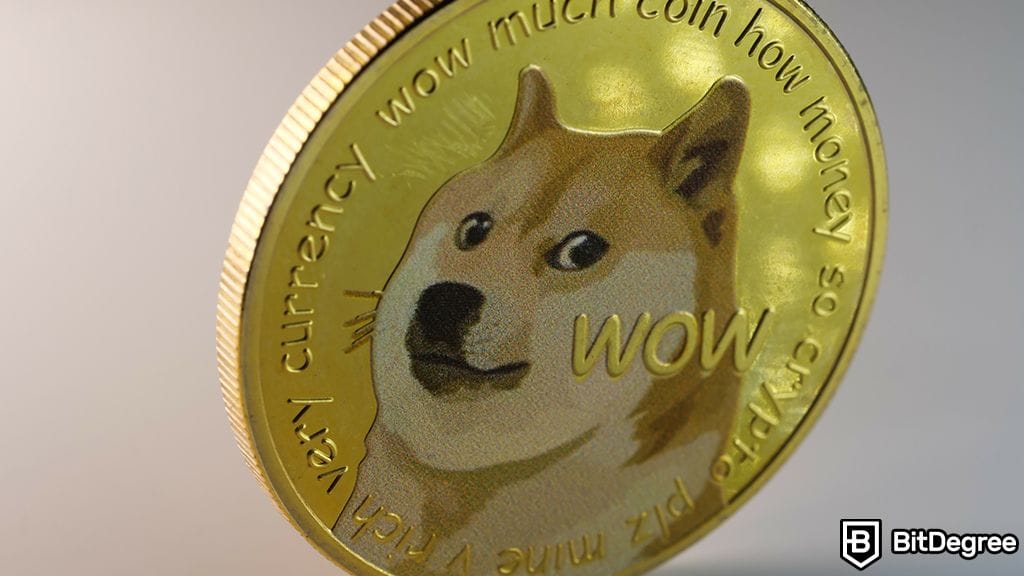 DOGE Surge to Weekly Peak Coincides with "XPayments" Boom