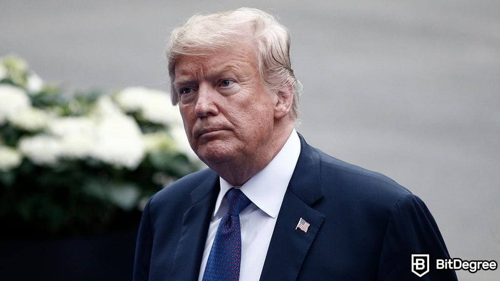 Trump's ETH Transactions Surge Following NFT Success