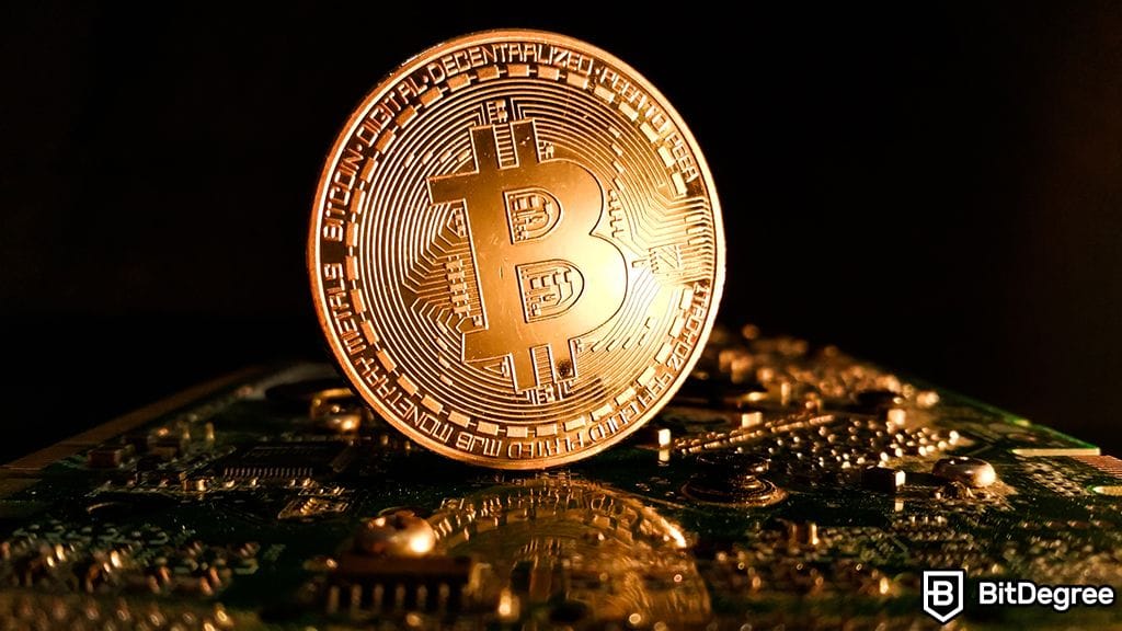 Wife Finds 12 Bitcoin (BTC) Stash Hidden by Her Husband