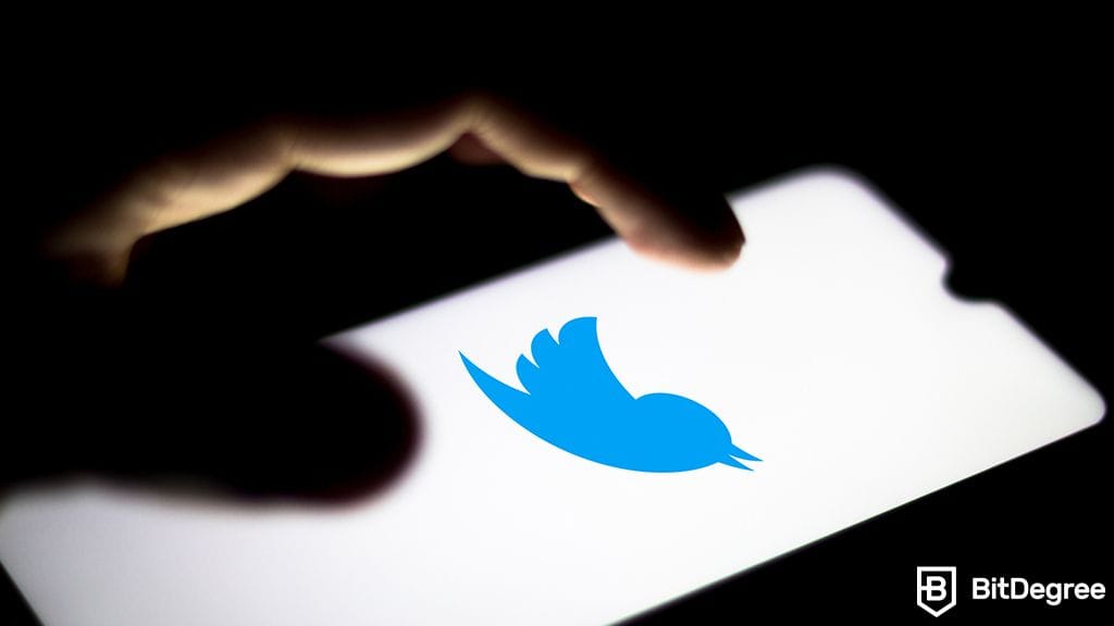 Musk's Tweet Spurs Twitter's Suspension of AI Bot "Bob"