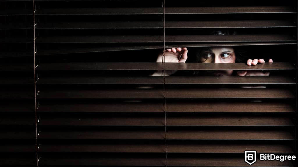 Todd Fears for His Safety After Satoshi Nakamoto Claims