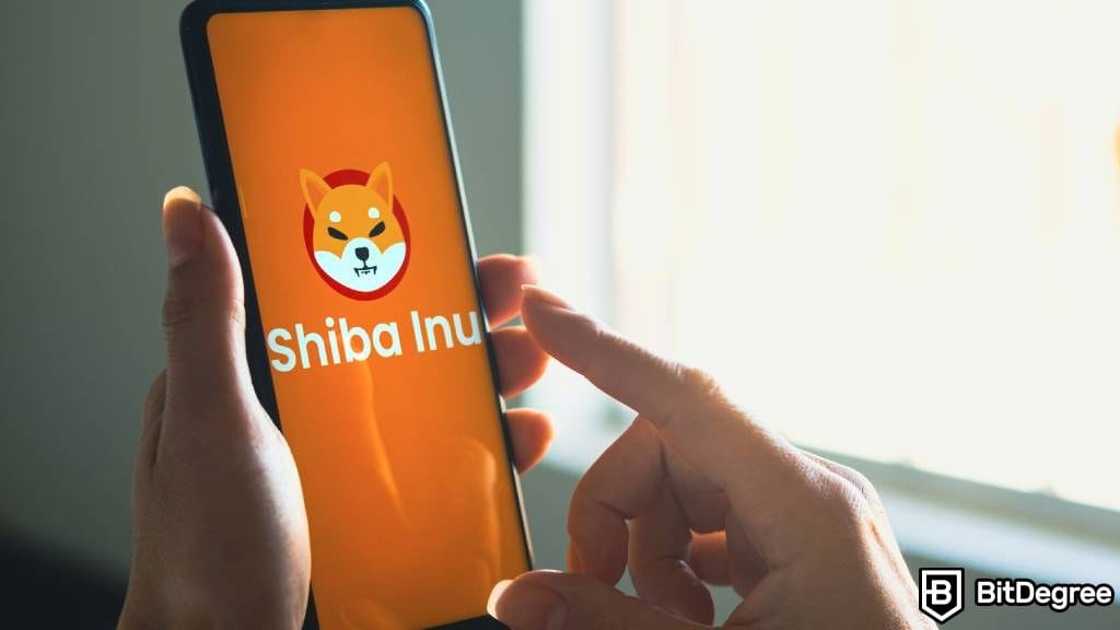 Shibarium Wallets Climb Over 100,000 After the Reboot