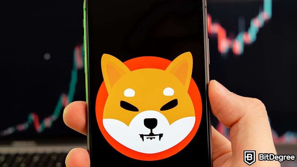 Shibarium Records Impressive Wallet Growth in a Week