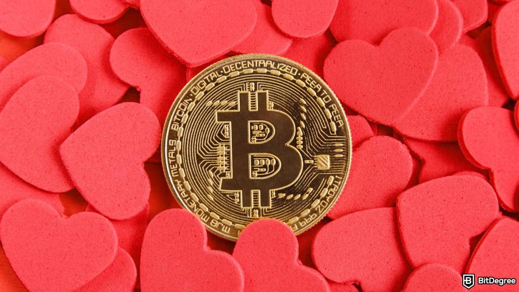 Trezor's V-Day 2025 Wallet Deals Hit the Mark